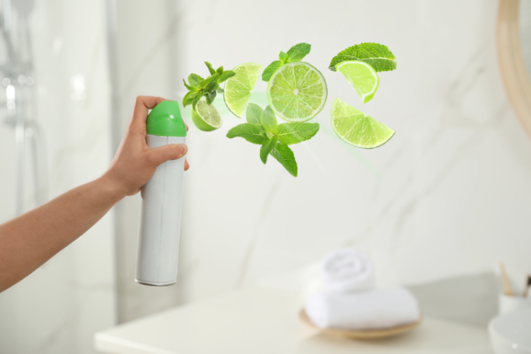 How to remove toilet bad odors - Active-Plumbing
