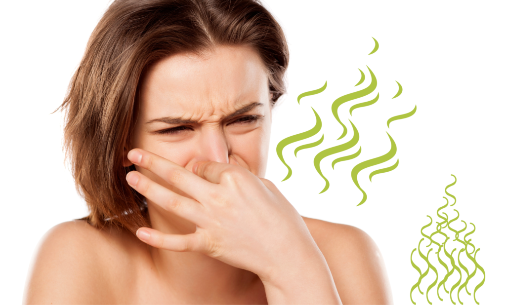 My Toilet is Often Having Quite Bad Smell - I Suspect a Piping/Drainage ...