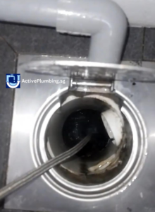 Why Your HDB Toilet Drain Smells After Use: Causes and Solutions ...